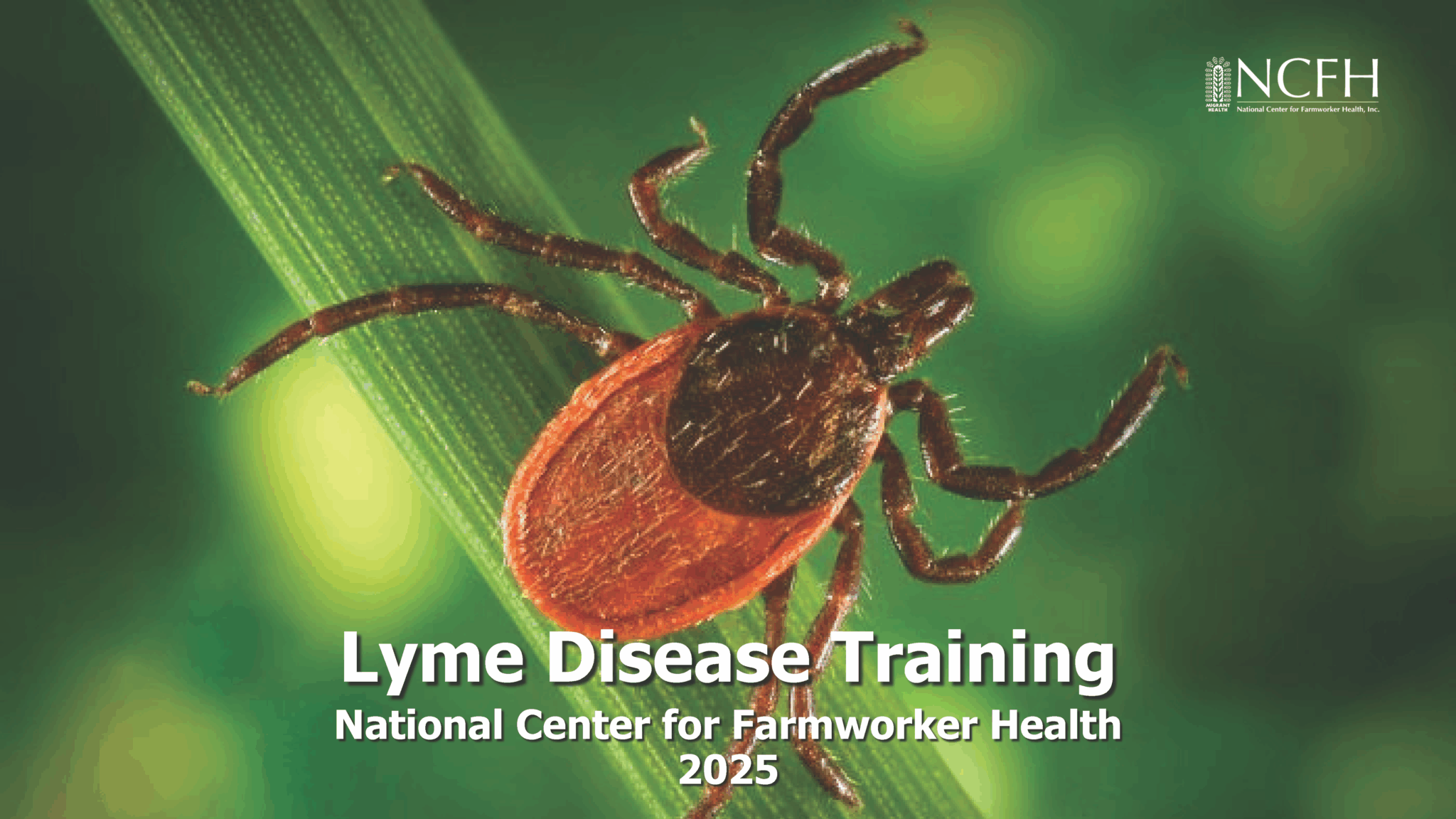 Lyme Disease Resources - National Center for Farmworker Health